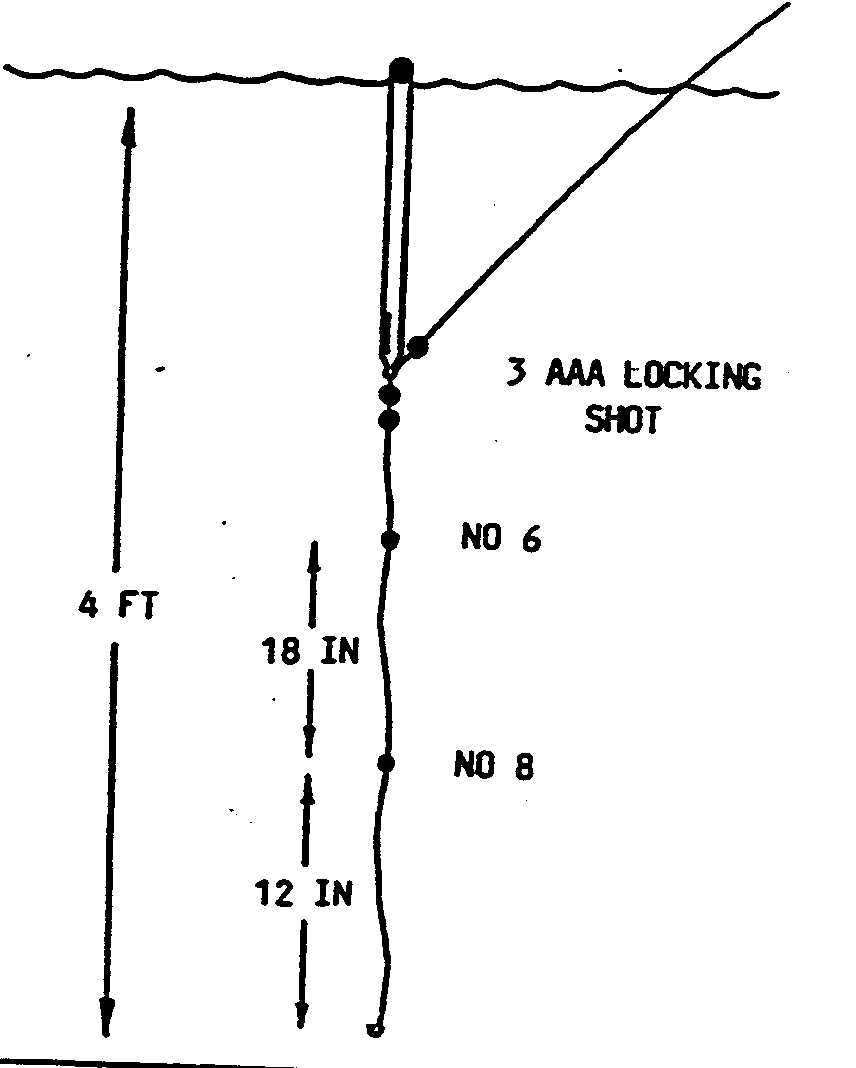Peacock Straight Waggler – Gold Medal Floats