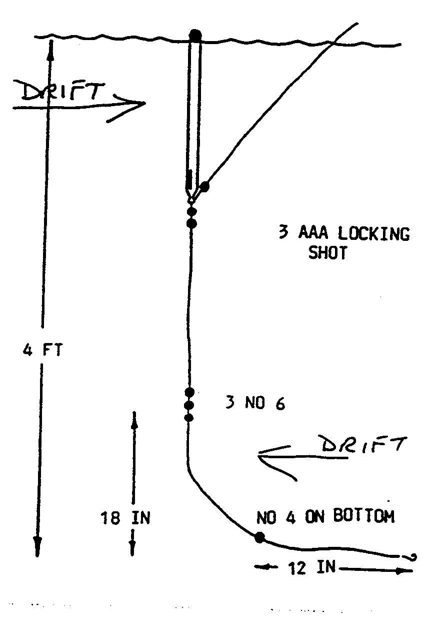 Peacock Straight Waggler – Gold Medal Floats